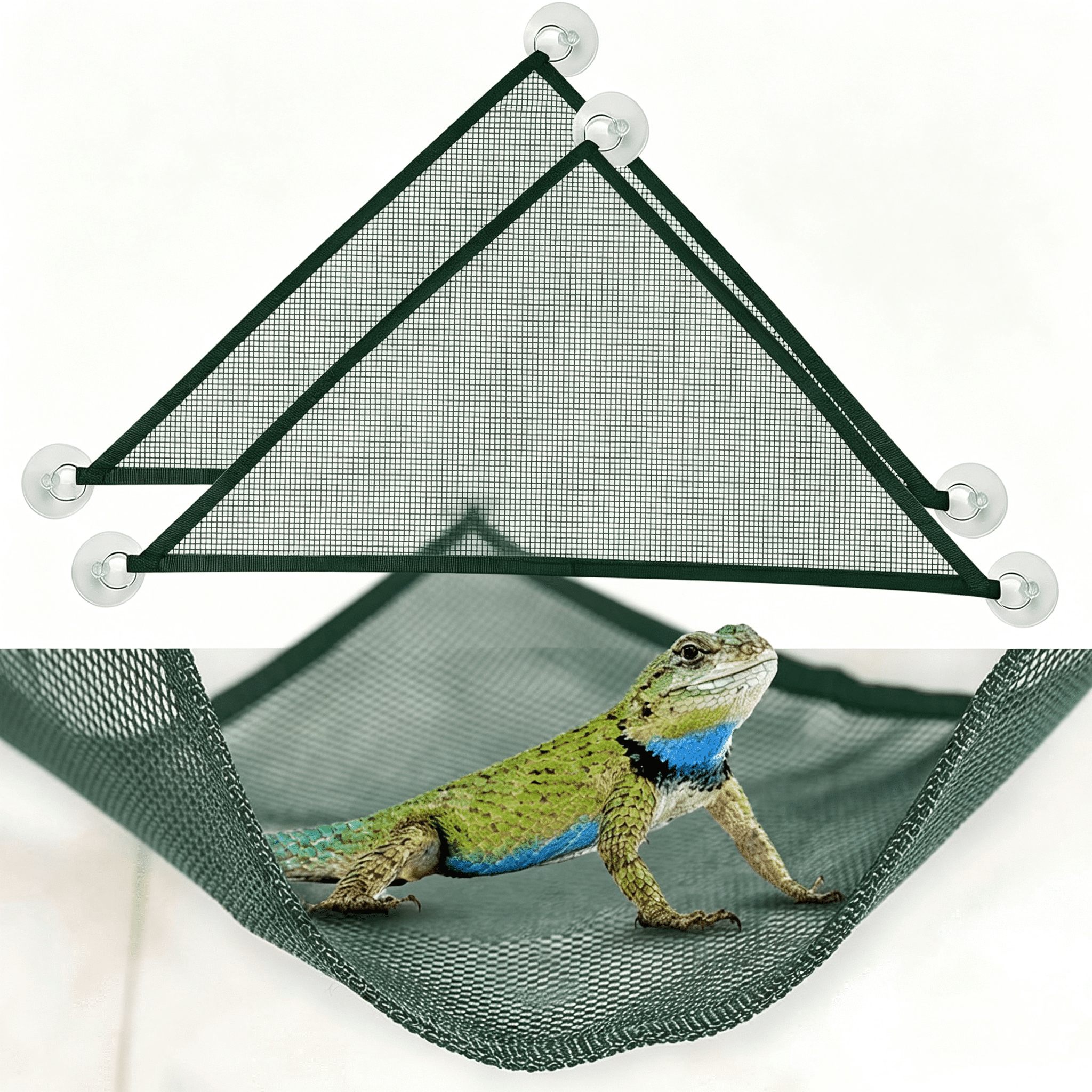 BPPEG 2 Pcs Bearded Dragon Lizard Hammock, Geckos Hammock, Breathable ...