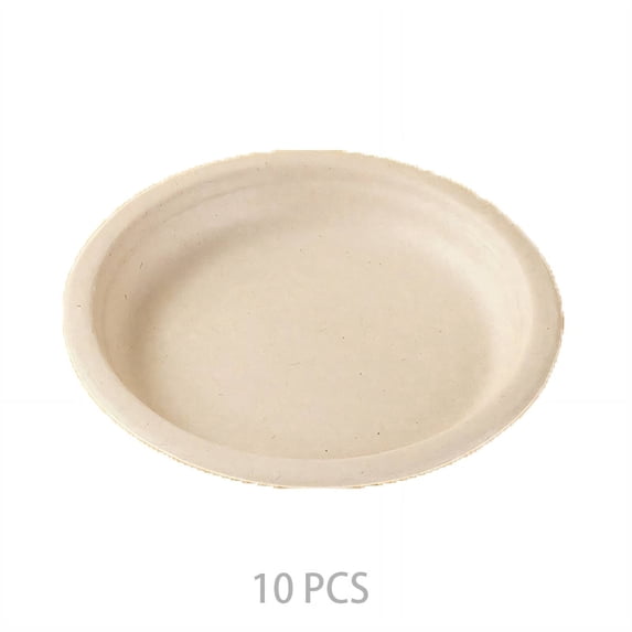 BPPEG 2026 New 10 Pcs Paper Plates,Outstanding Oil Absorption Paper ...