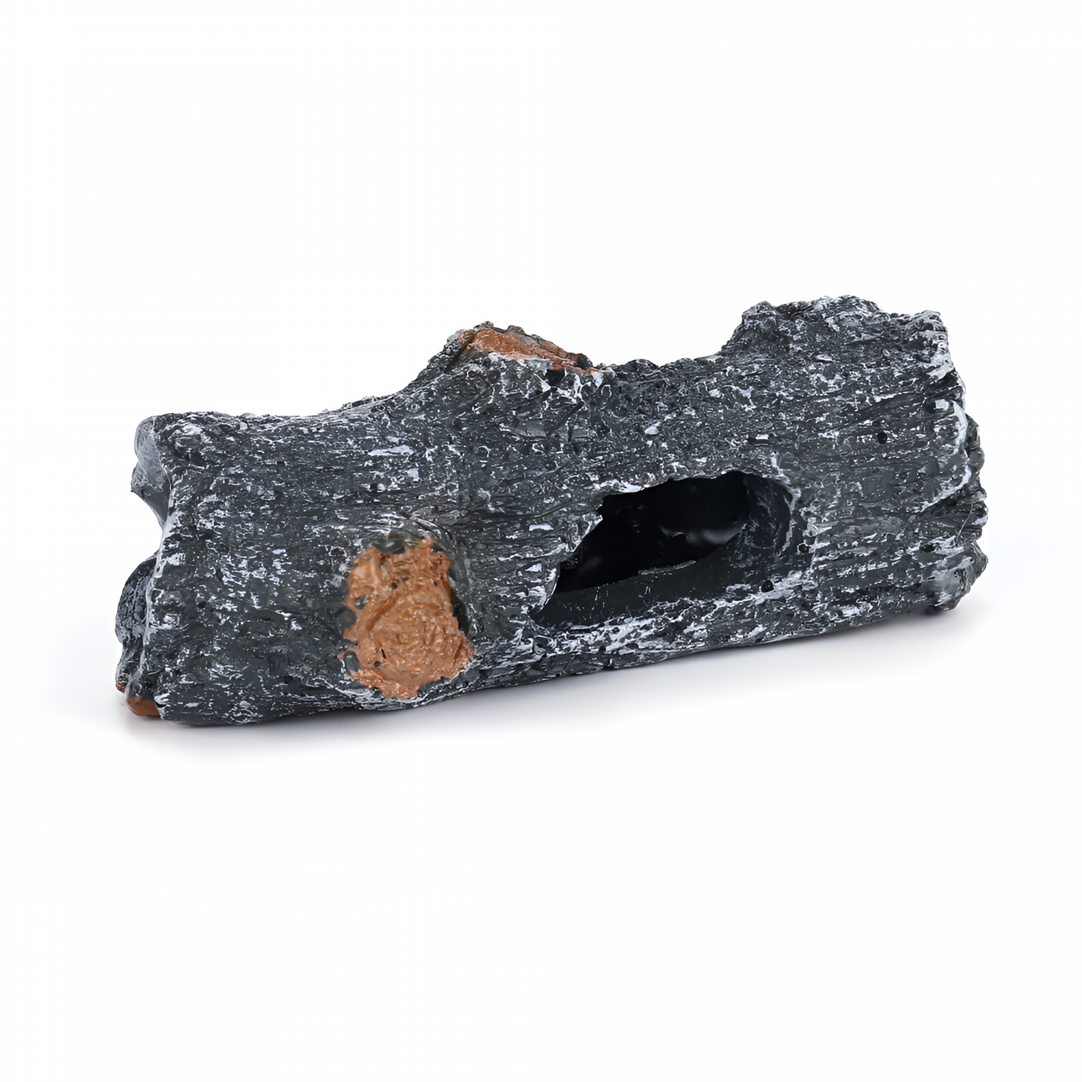BPPEG 2026 New Driftwood, Natural Coral Wood, Fish Tank Driftwood ...