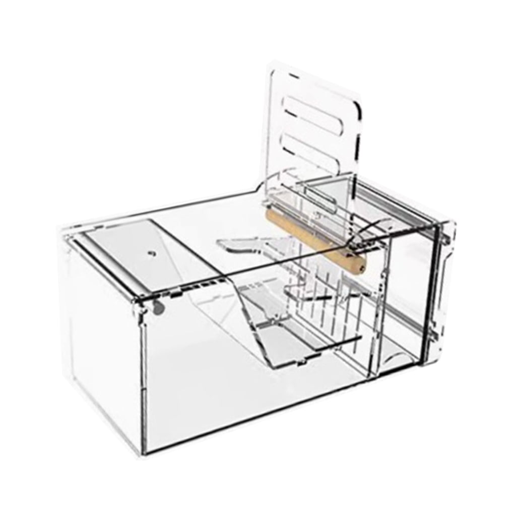 BQBQERT Bird Feeder for Parrots AntiSplash Birds Seed Feeder All Size ...