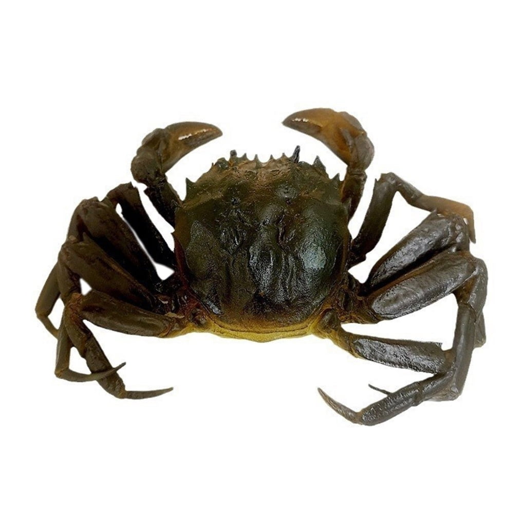 BQBQERT Realistic Simulation Crabs Model Realistic Crabs Ornament Home ...