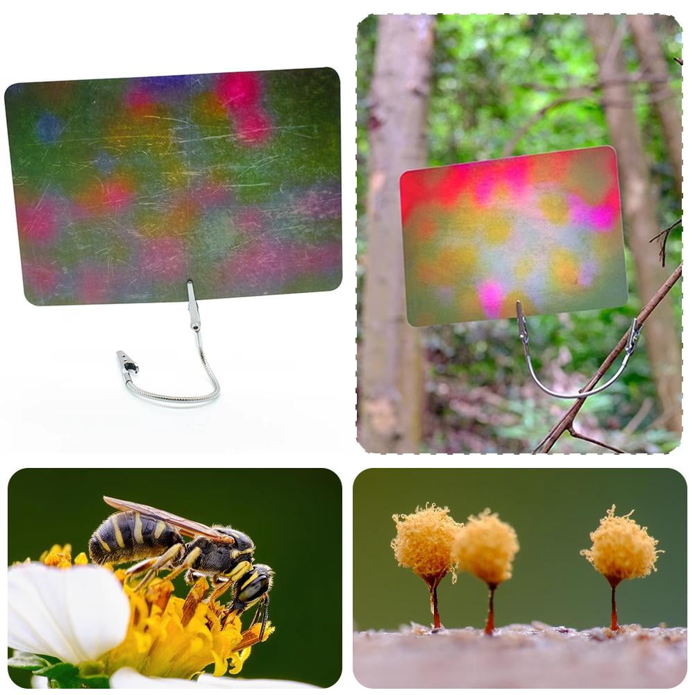 BQLQBQLQ 12pcs Colorful Macro Photography Background Cards Blurred ...