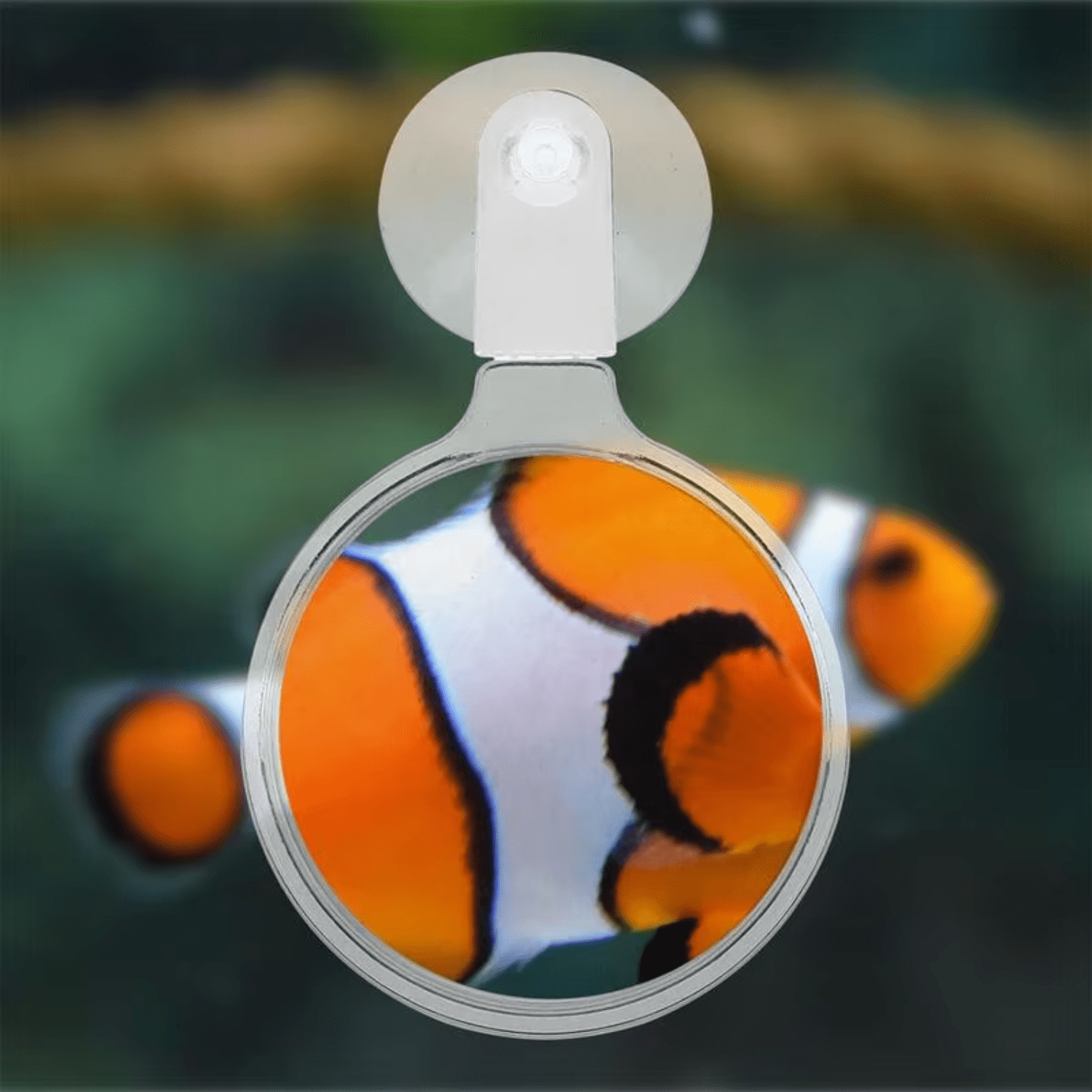 BR 2025 Aquarium Magnifying Glass Magnifying Glass With Suction Cup ...