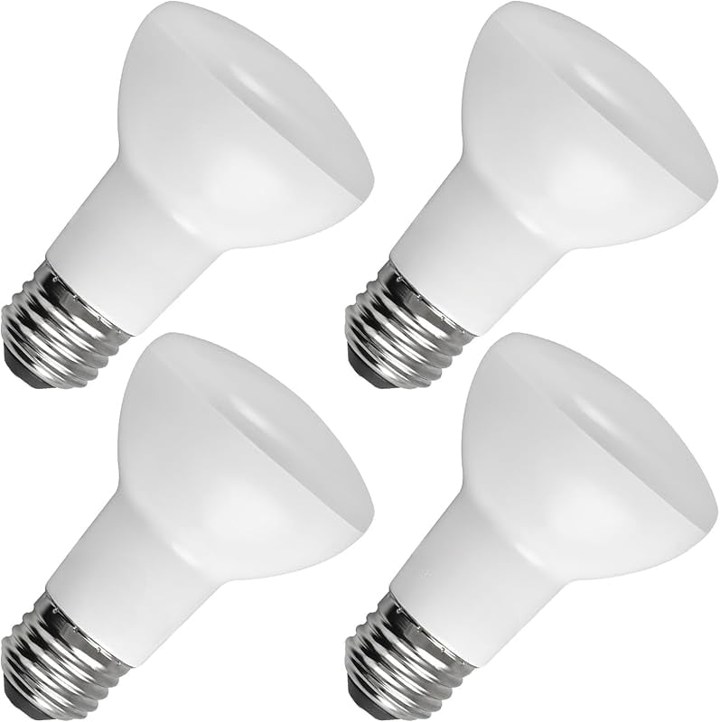 BR20 LED Light Bulb, 6.5W (45W Equivalent), 2700K Warm White, 460 ...