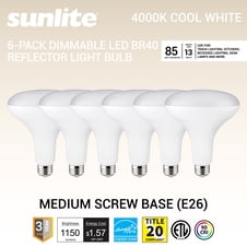 Par30 Bulbs
