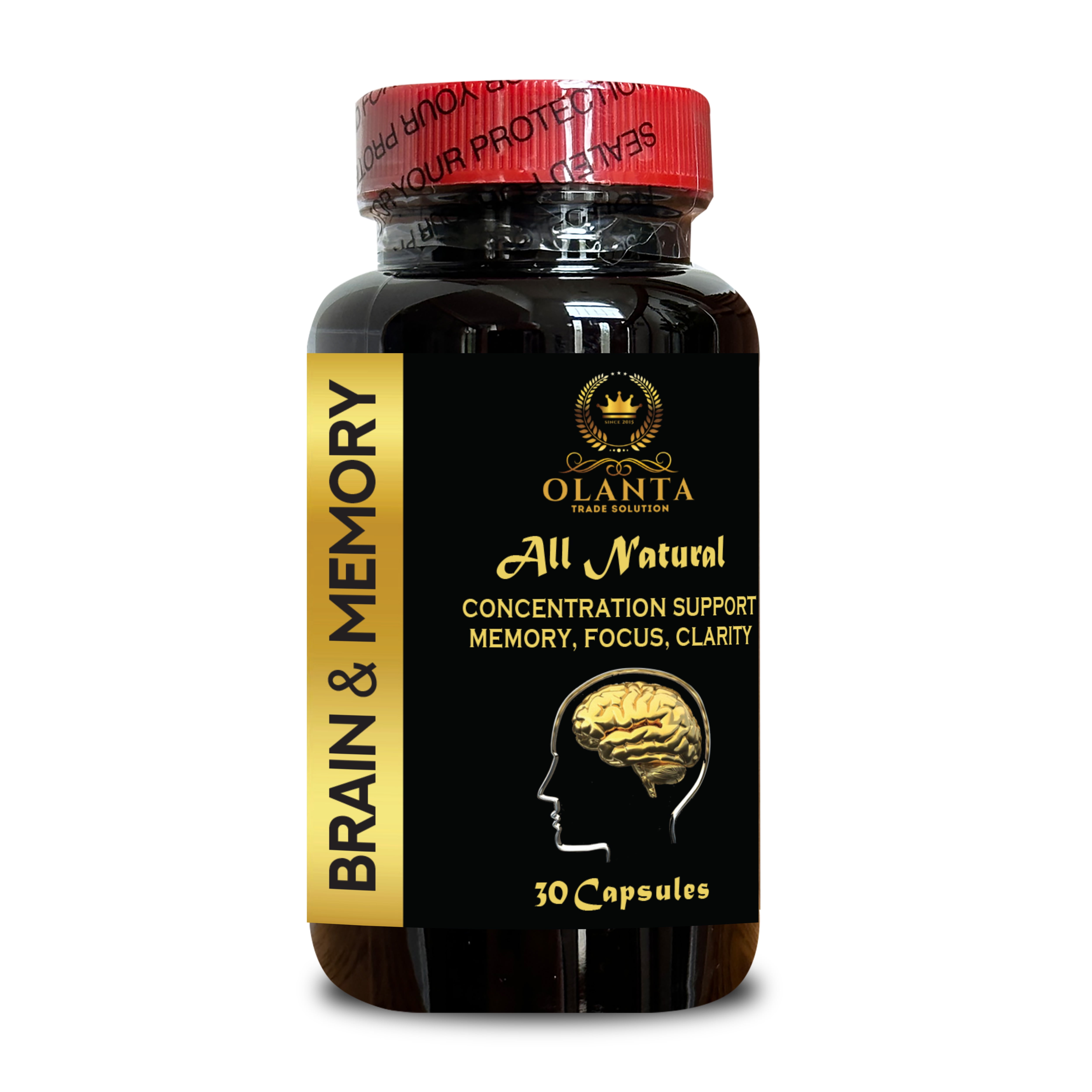 BRAIN MEMORY SUPPORT - Cognitive enhancer, healthy brain supplements ...