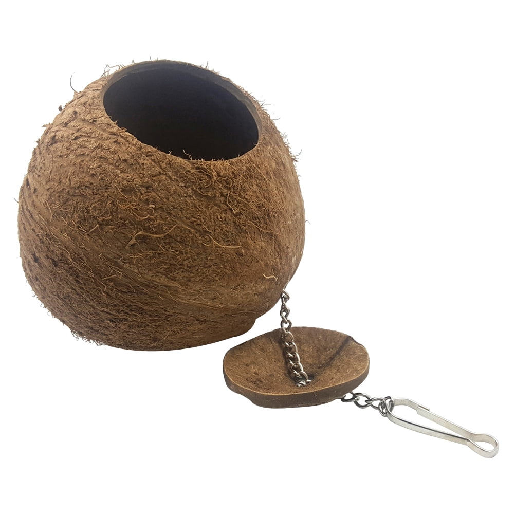 NUOLUX 1PC Natural Small Birds Nest Coconut Shell Birds Nest No ...
