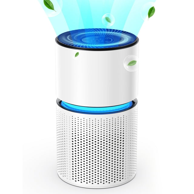 BREEZOME Air Purifier, Large Room up to 1095 Sq.ft, HEPA Filter, Pet ...