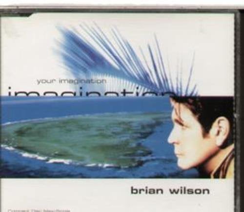 Your Imagination Brian Wilson (CD) - Walmart.com