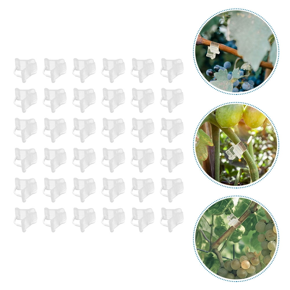 BRIGHTFUFU 100Pcs Plastic Plant Support Clips Gardening Vegetable Clips ...