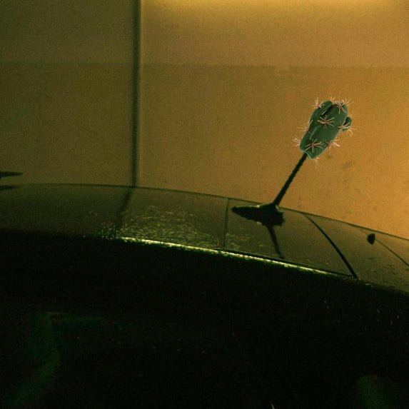 BRIGHTFUFU Antenna Toppers for Cars Car Antenna Topper Green Plastic ...