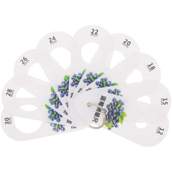 BRIGHTFUFU Fruit Measuring Ruler 1Set Blueberry Diameter Gauge for ...