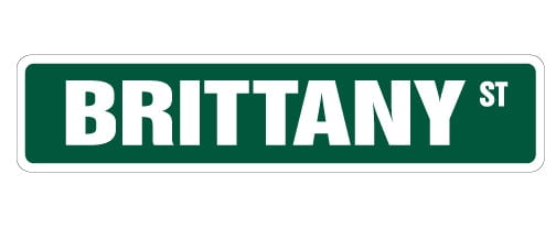 BRITTANY DOG Street Sign lover great pet lover owner | Indoor/Outdoor ...
