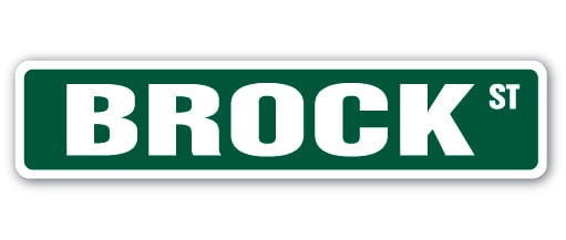 BROCK Street Sign Childrens Name Room Sign | Indoor/Outdoor | 30" Wide ...