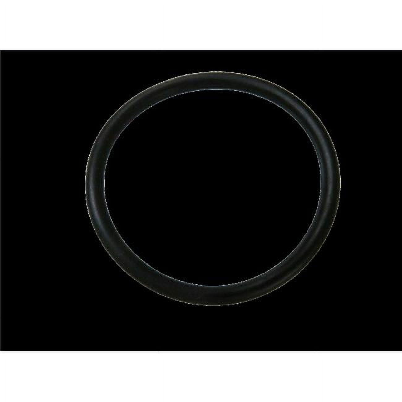 Johnson Evinrude OMC New OEM Bearing Housing O-Ring, 0302588 - Walmart.com