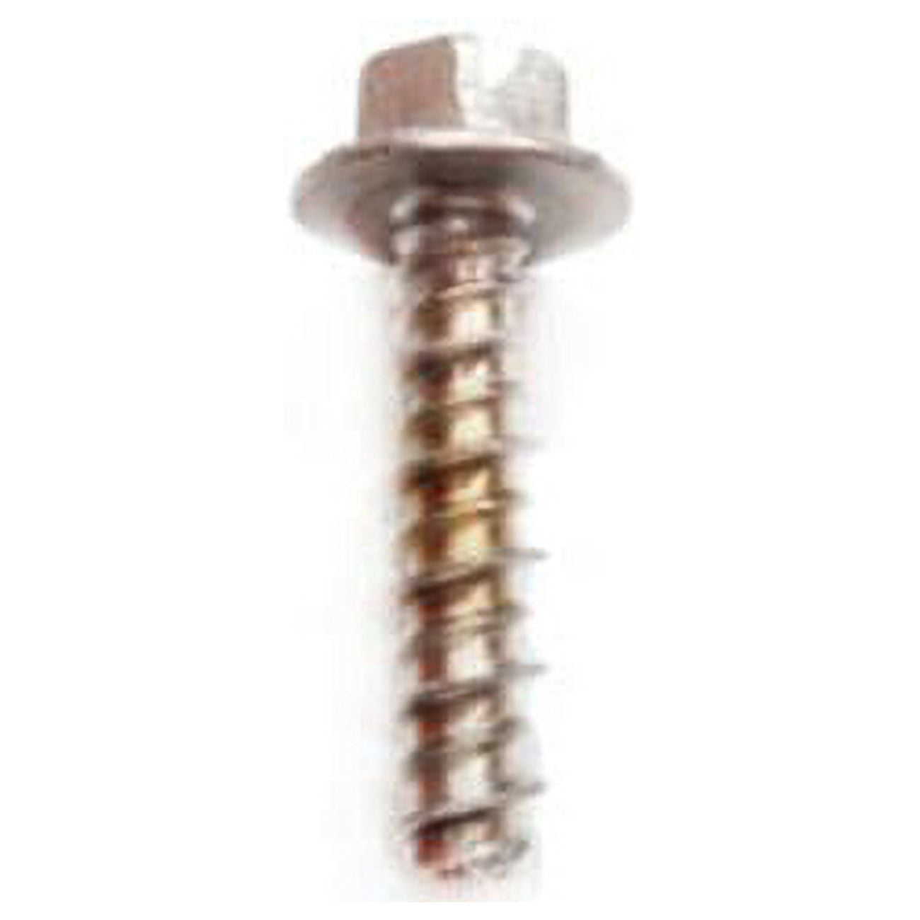 BRP 330838-PK Marine Screw - Pack of 5 - Walmart.com