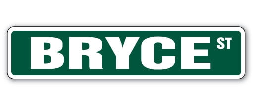 BRYCE Street Sign Childrens Name Room Sign | Indoor/Outdoor | 36" Wide ...