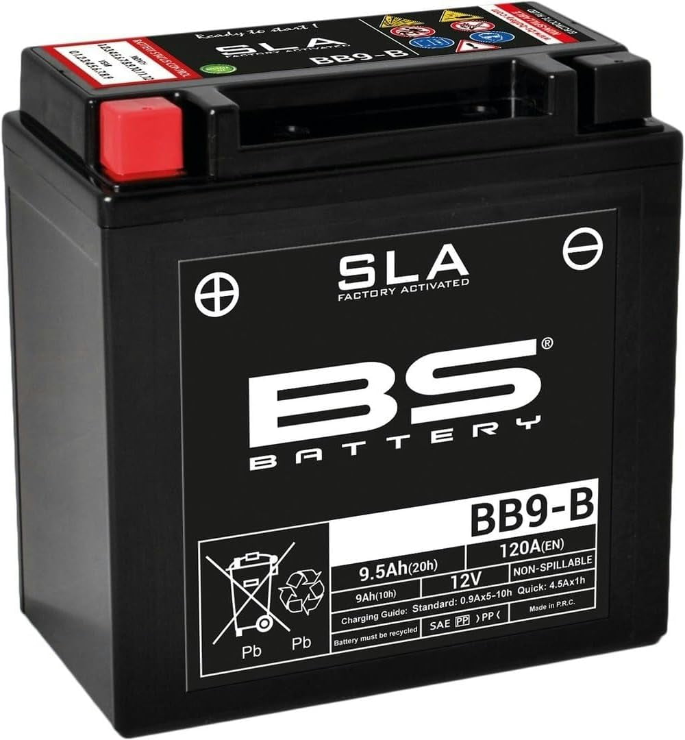 BS Battery BB9-B Battery - Walmart.com