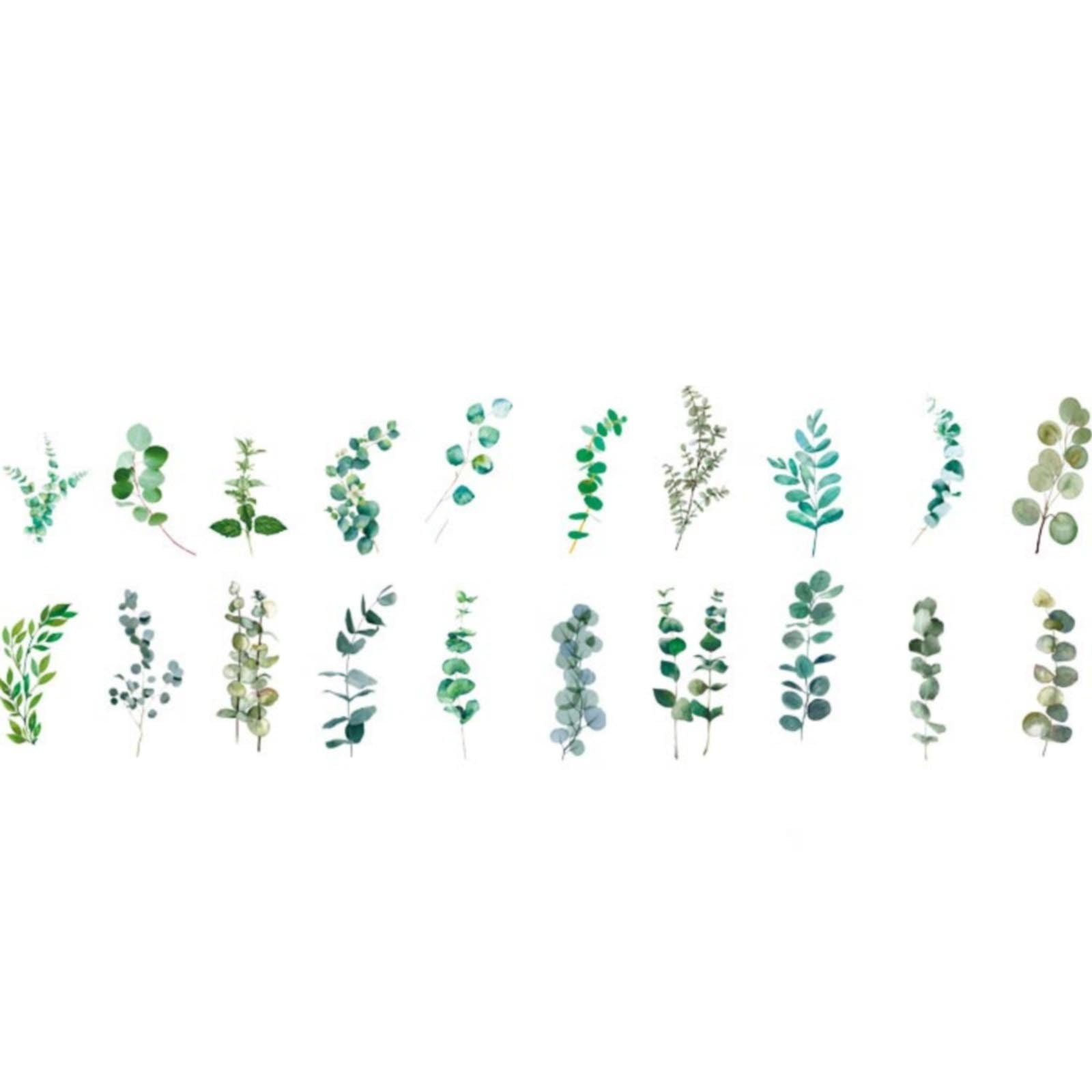 BSGSH Clearance Office Cabinet Handbook Sticker Specimen Collection ...