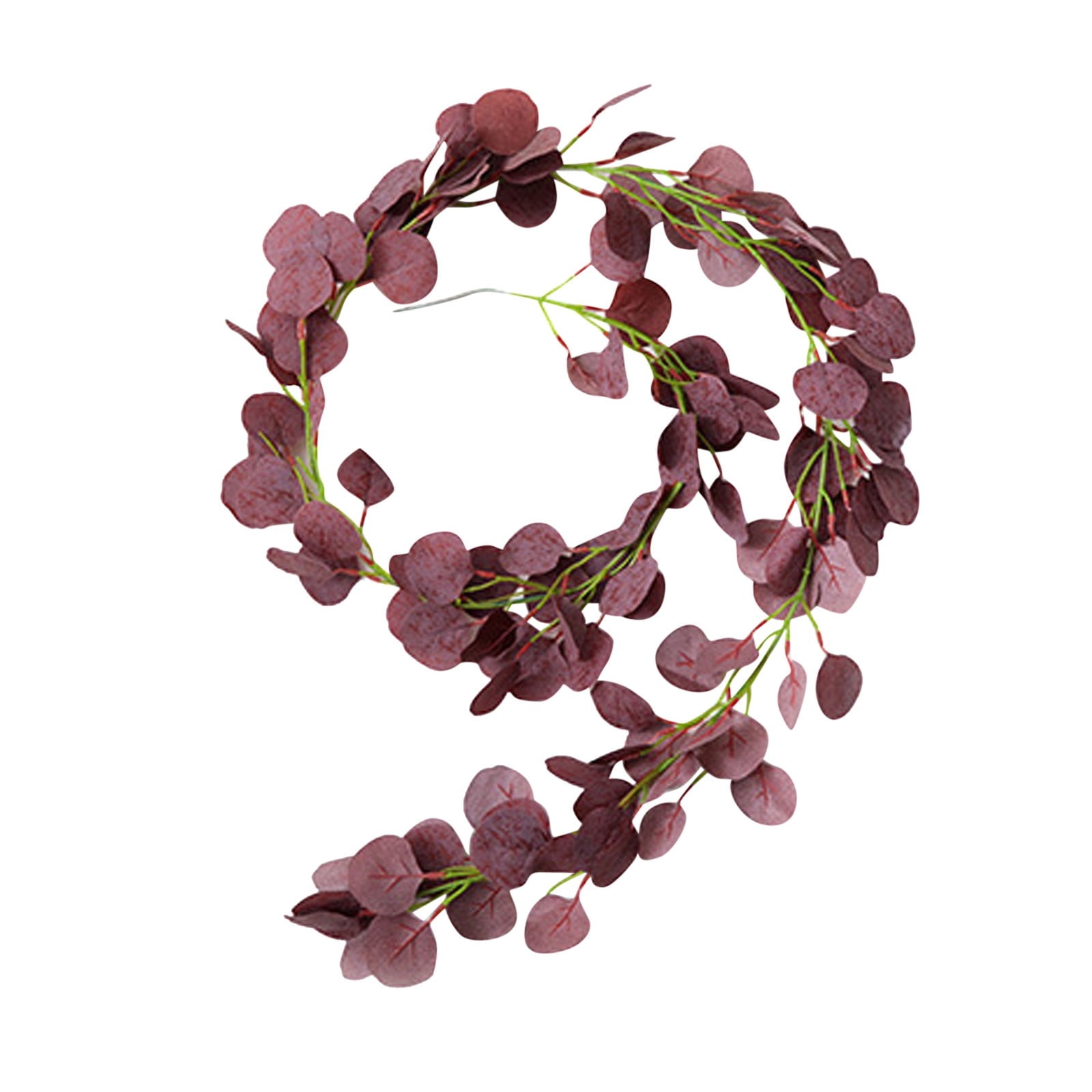 BSJJY Dried Preserved Eucalyptus Branches Eucalyptus Branches Leaves ...