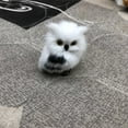 BSJJY Simulation Mini Plush Owl, Artificial Owl Figurine Lifelike Owl ...