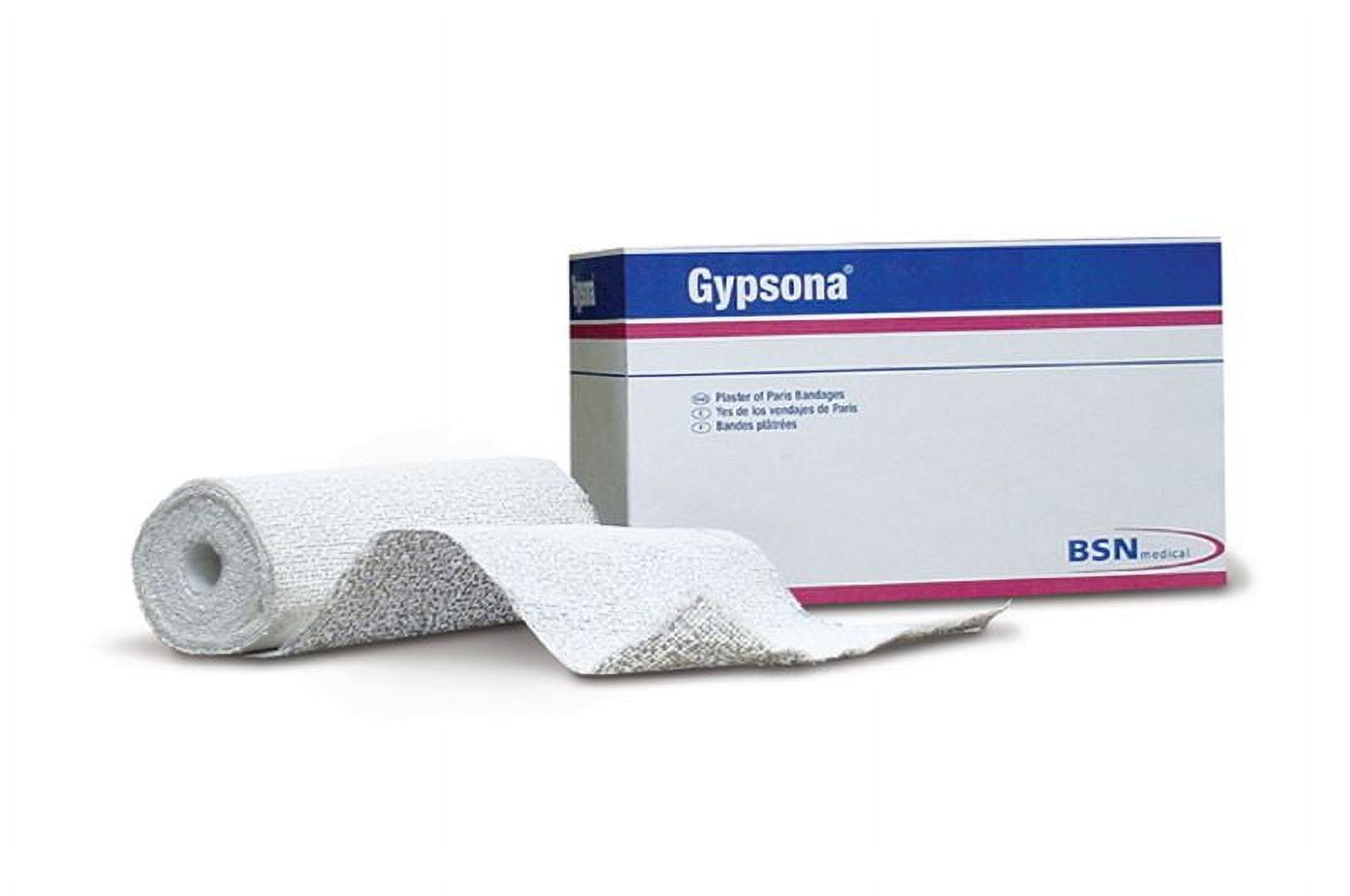 Gypsona