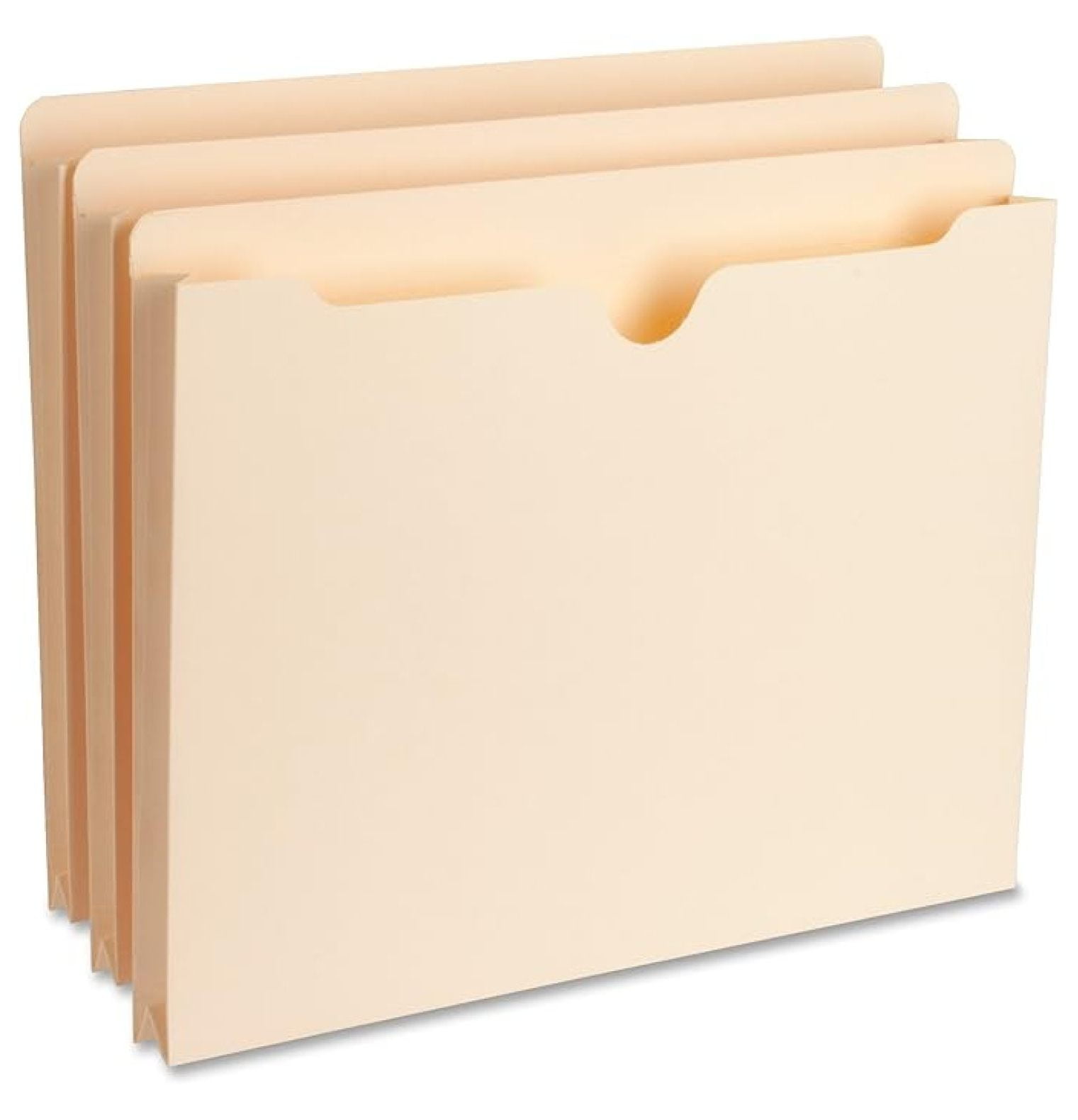BSN65797 - 1 Expansion Heavyweight File Pockets - Walmart.com