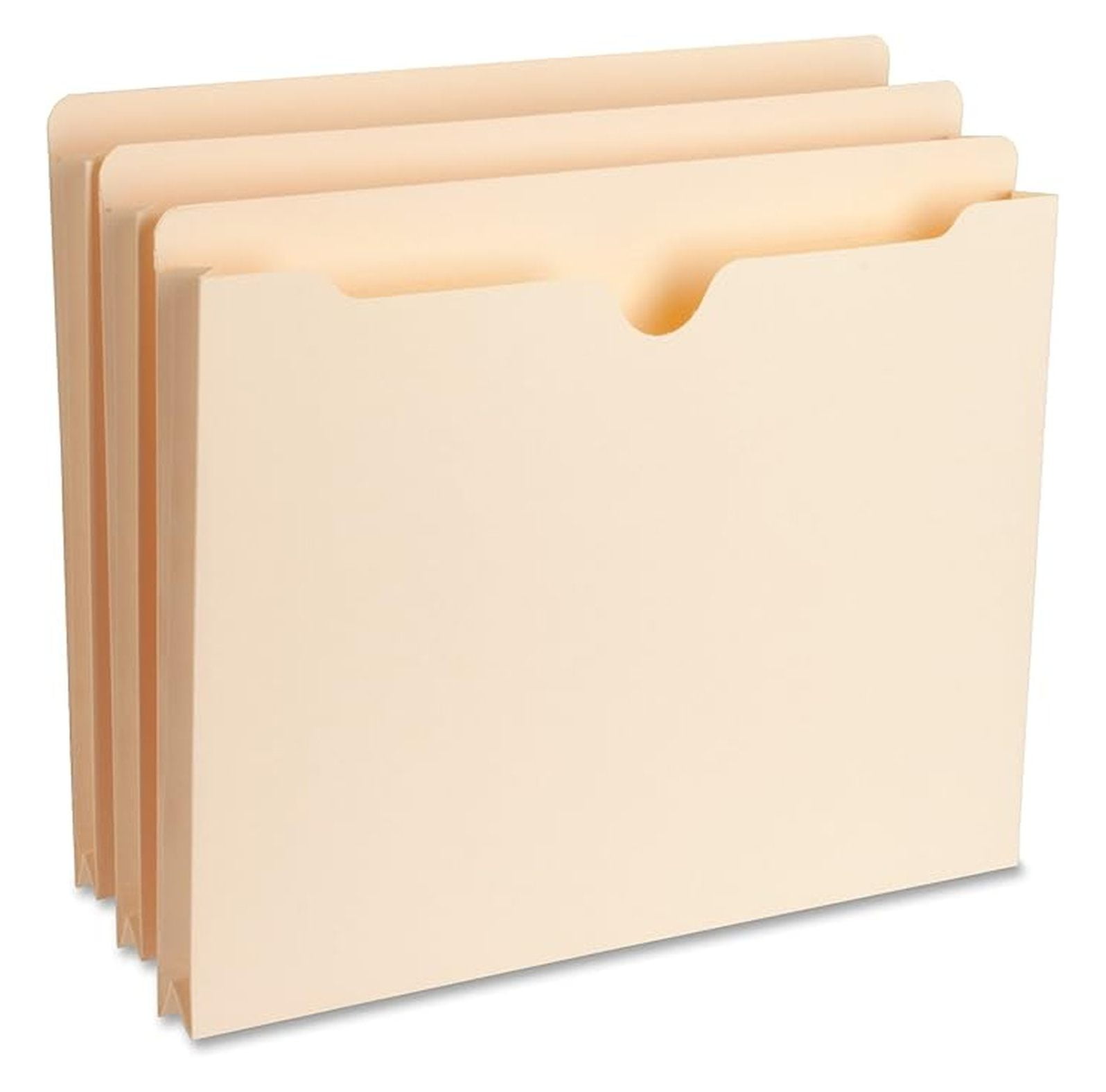 BSN65797 - 1 Expansion Heavyweight File Pockets - Walmart.com