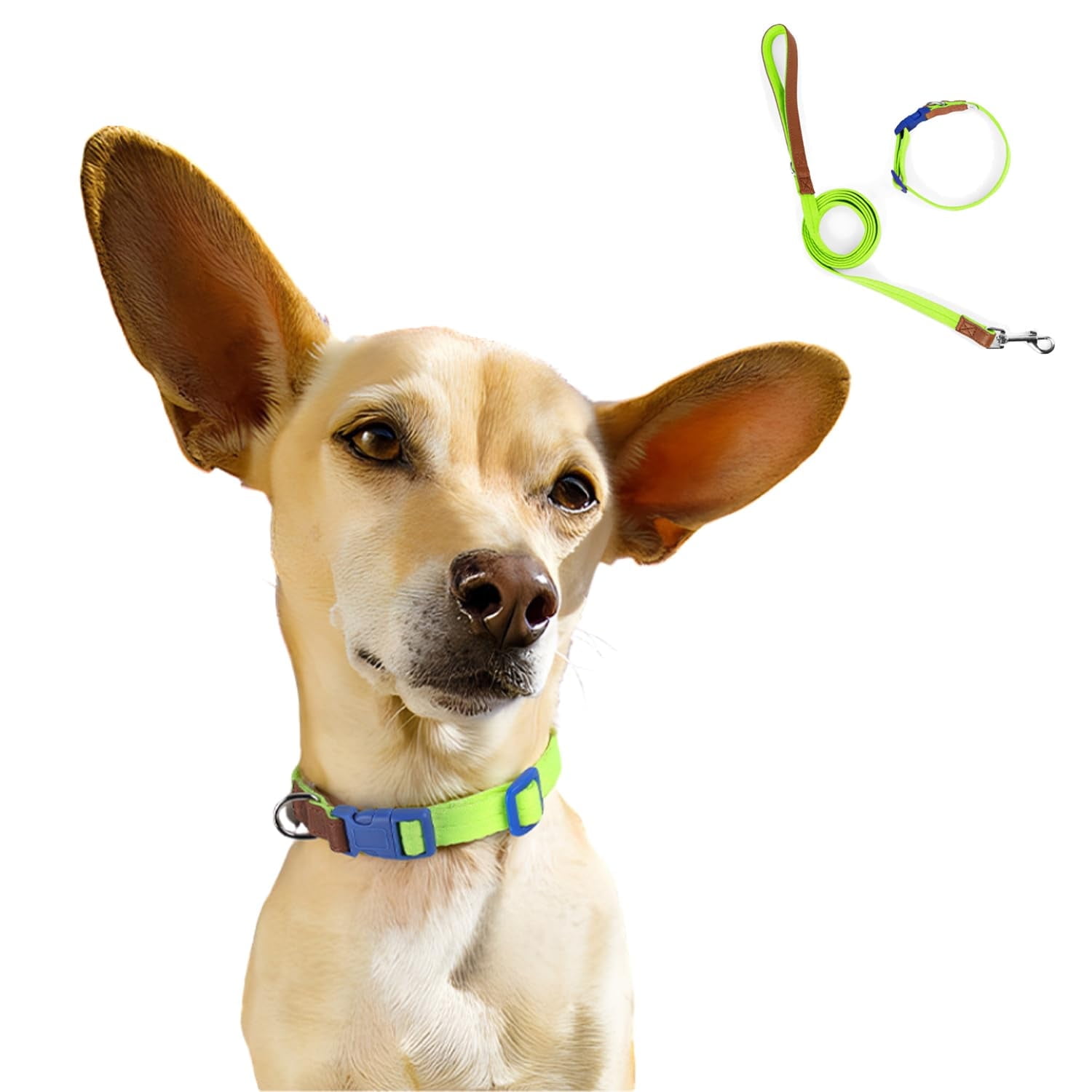 Dog Collar Leash Set, Adjustable Durable Nylon Pet Collars with Dog ...
