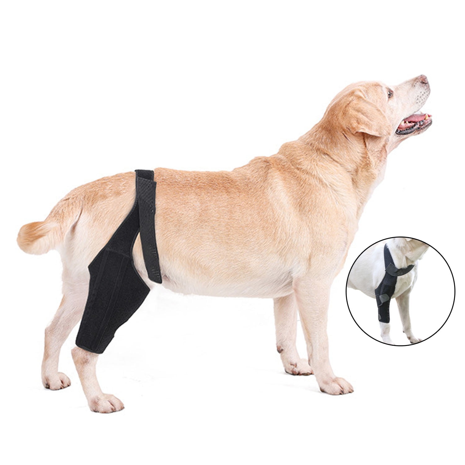 Dog Elbow Brace Protector Pads for Canine Elbow and Shoulder Support ...