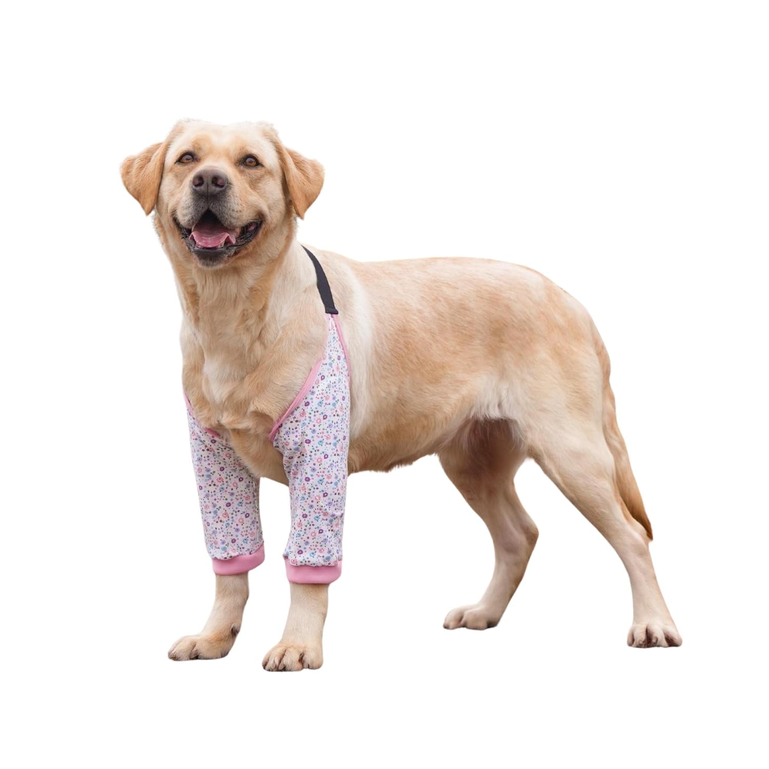 Harikaji Dog Elbow Protector, Dog Front Leg Recovery Protector for ...