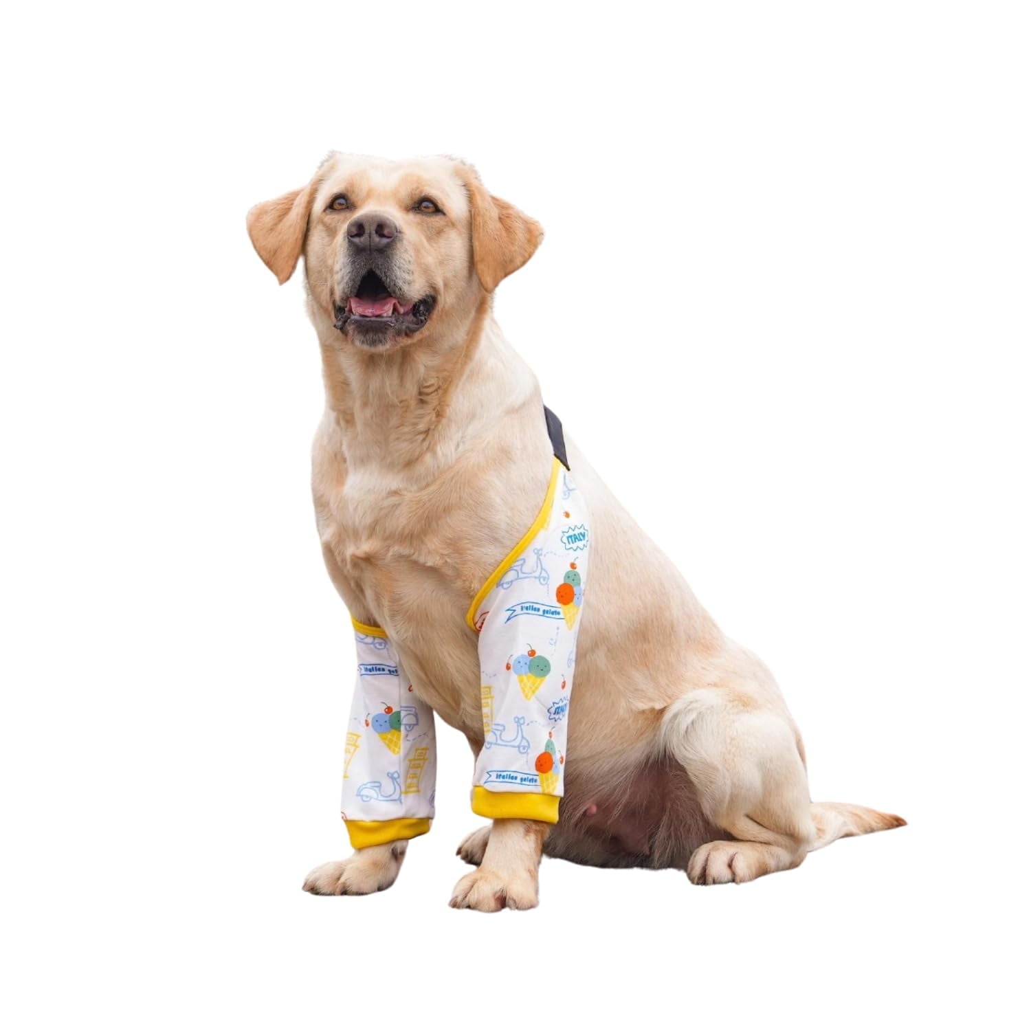 Harikaji Dog Elbow Protector, Dog Front Leg Recovery Protector for ...
