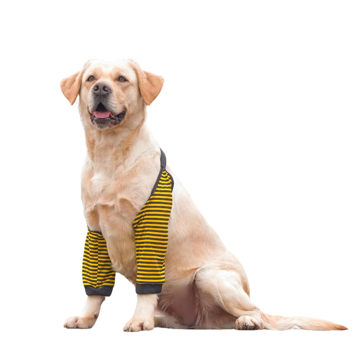 Harikaji Dog Elbow Protector, Dog Front Leg Recovery Protector for ...