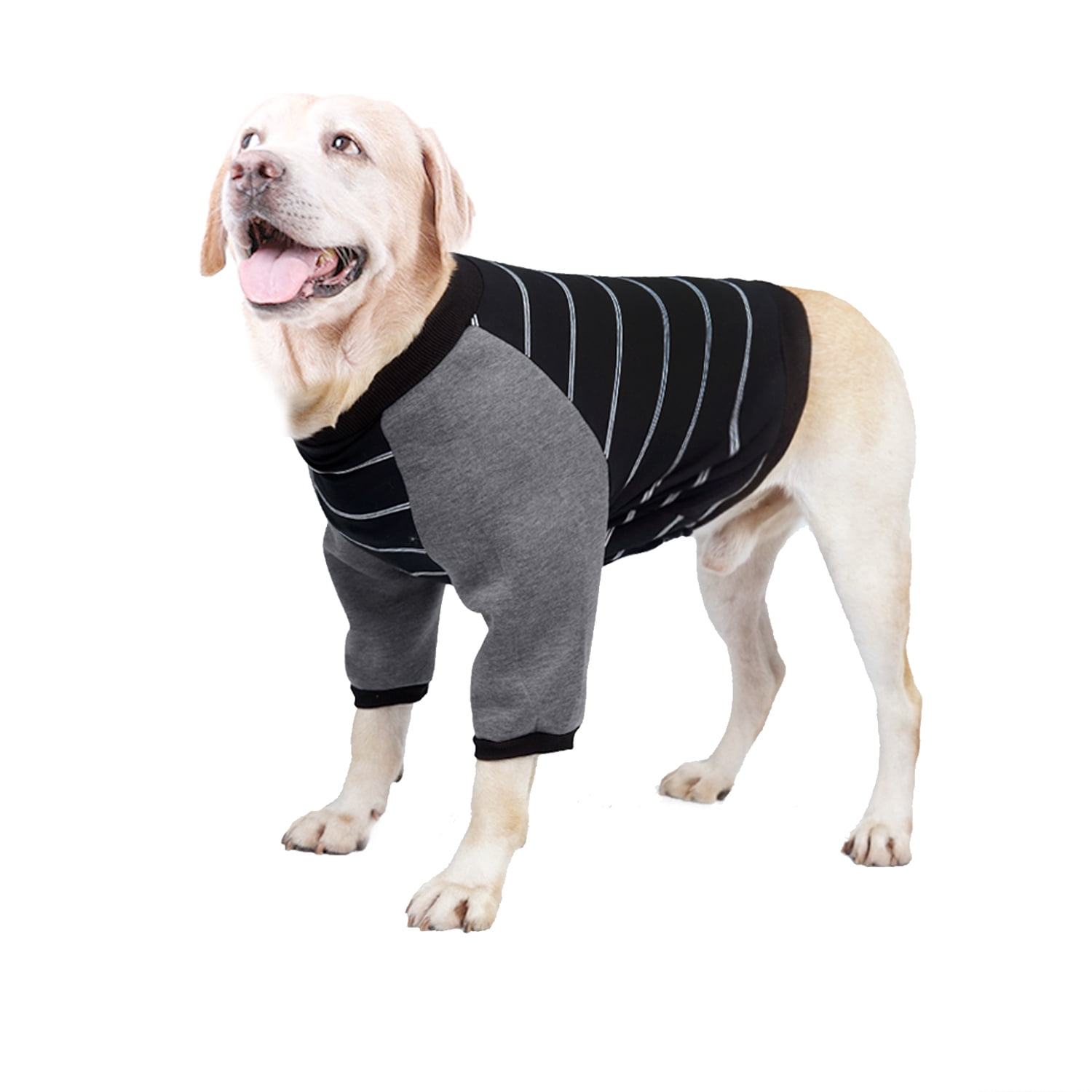 BT Bear Dog Elbow Protector Shirt, Dog Leg Recovery Suit for Prevent ...