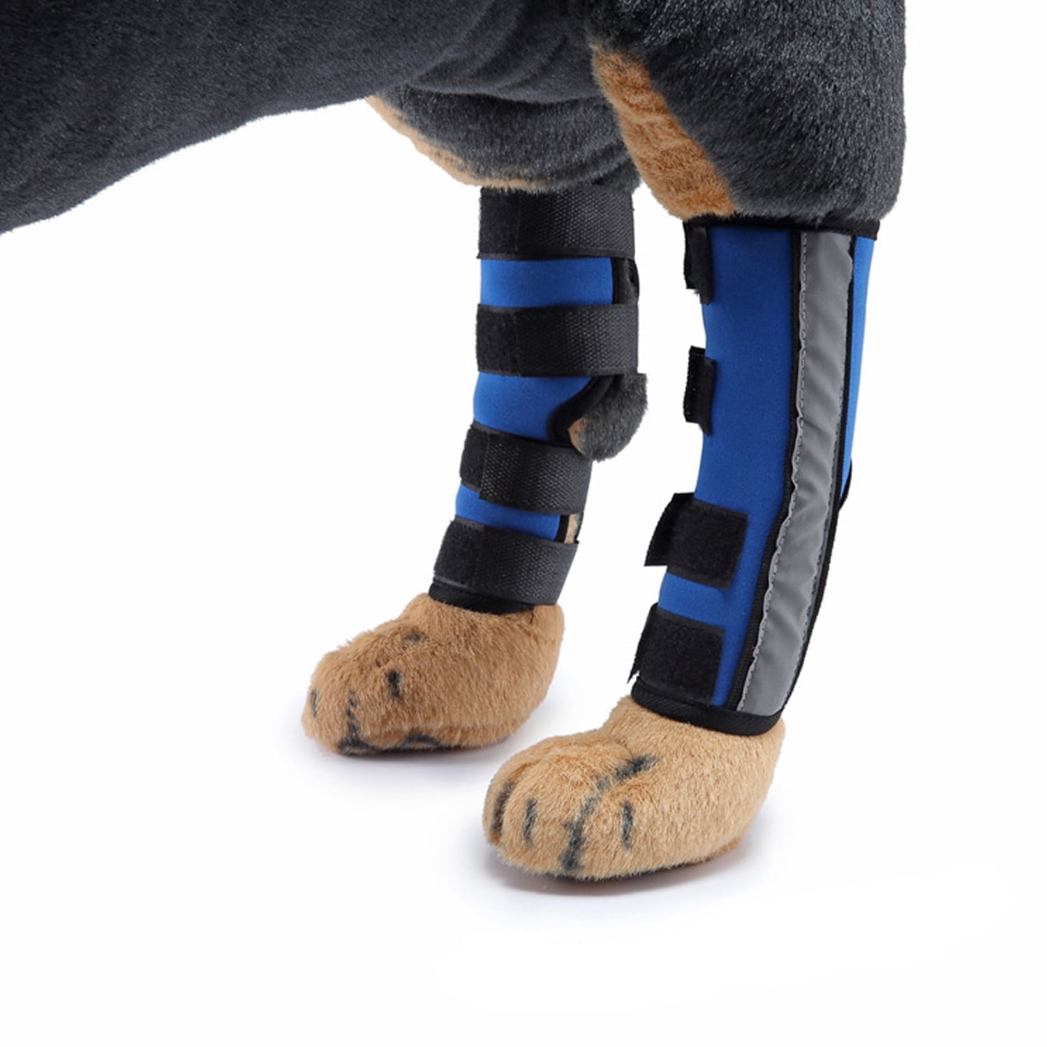 BT Bear Dog Leg Brace, 2PCS Knee Leg Protector Hock Joint Extra ...