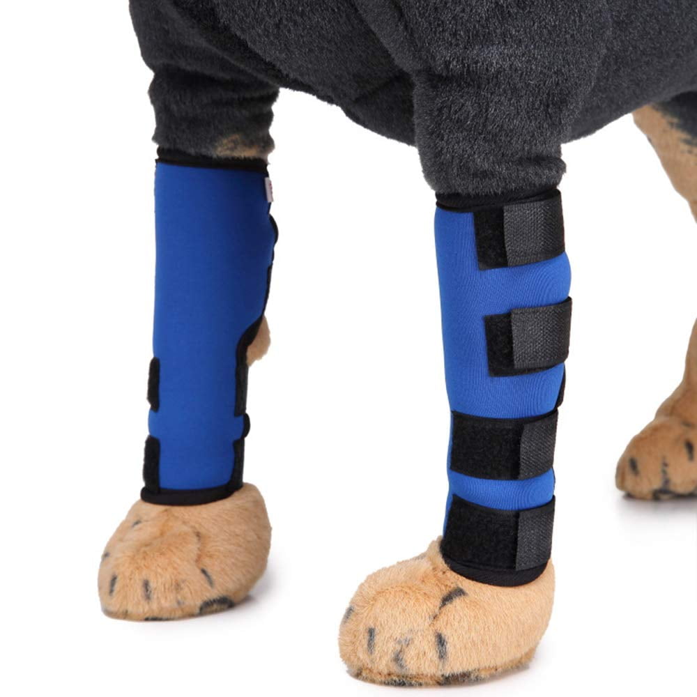 Dog Leg Brace, 2PCS Knee Leg Protector Hock Joint Extra Supportive for ...