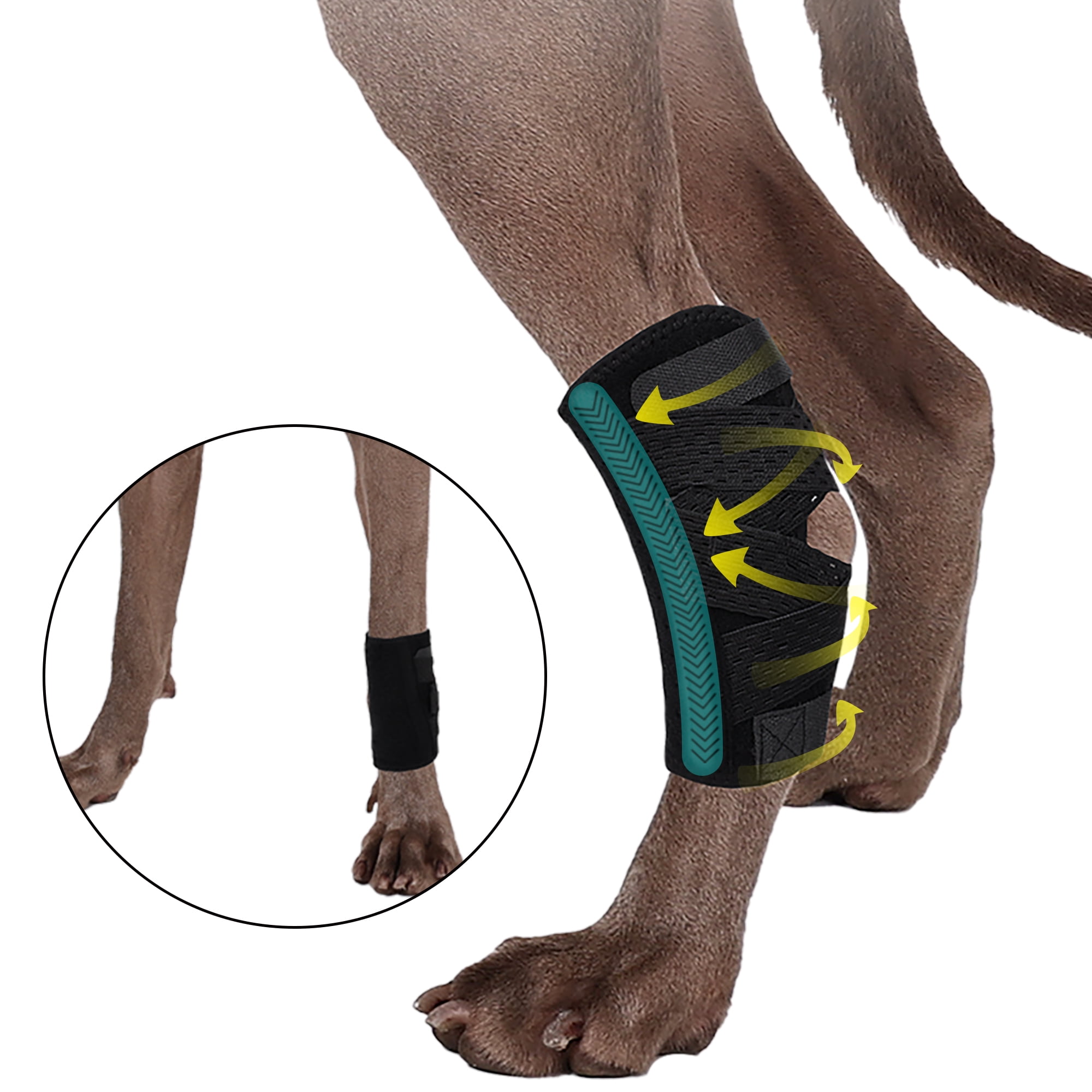 Dog Leg Braces, Dog Hock Joint Brace with Two Metal Spring Inserts, Dog ...