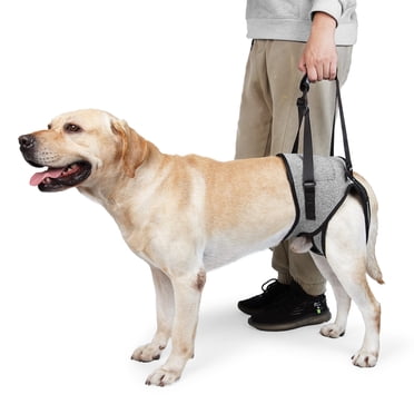 MOMOJIA Dog Leg Support Front Rear Leg Lift Harness for Elderly Injured ...