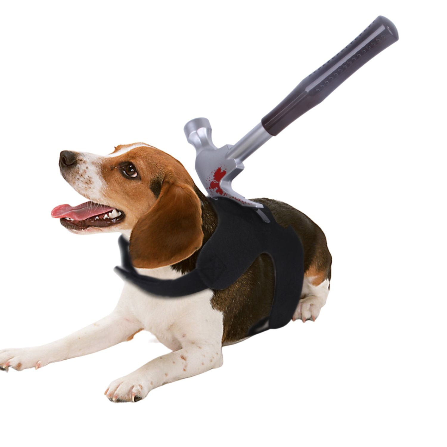 Halloween Pets Costumes,Pet Deadly Dog Costume,Dogs Halloween Spooky ...