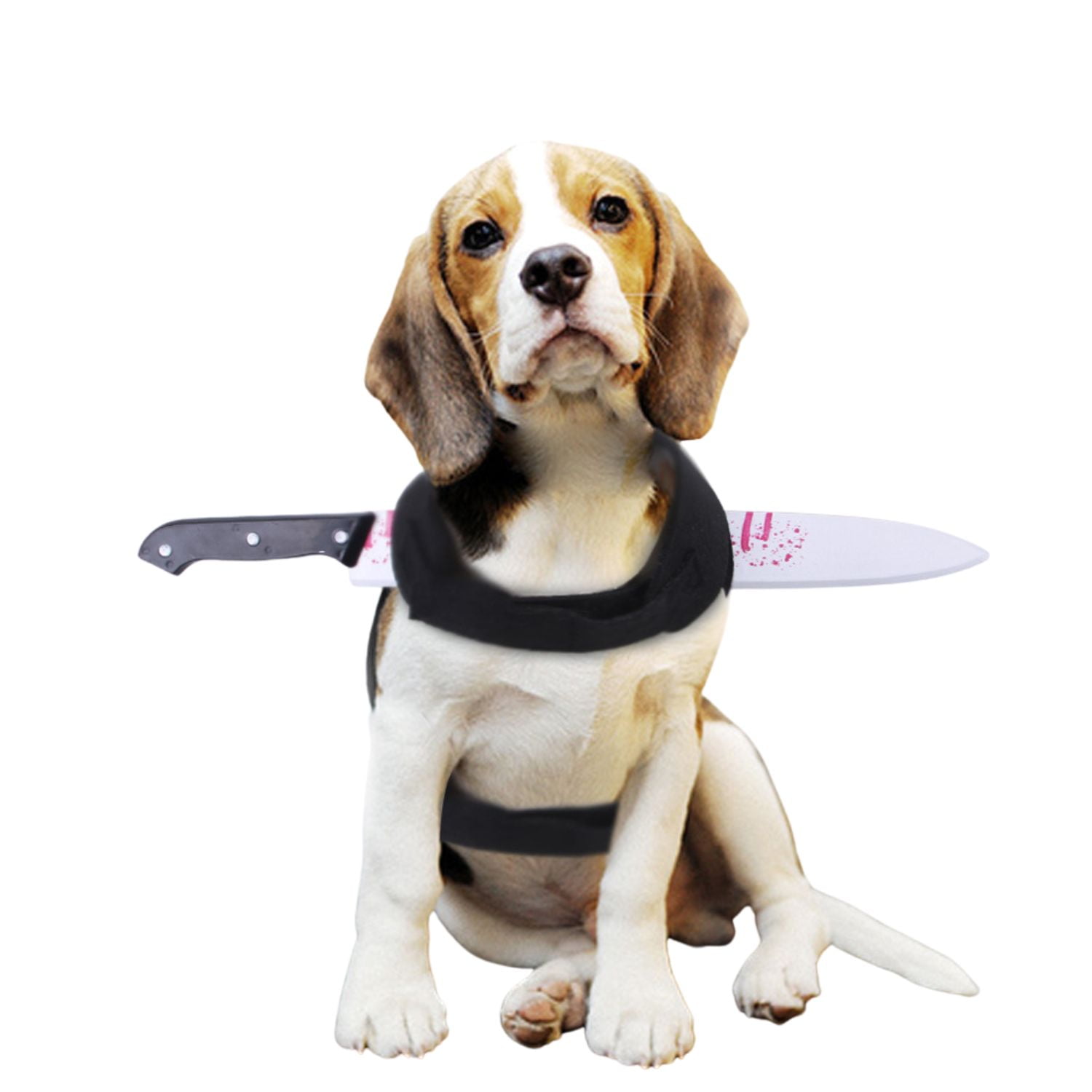 Halloween Pets Costumes,Pet Deadly Dog Costume,Dogs Halloween Spooky ...