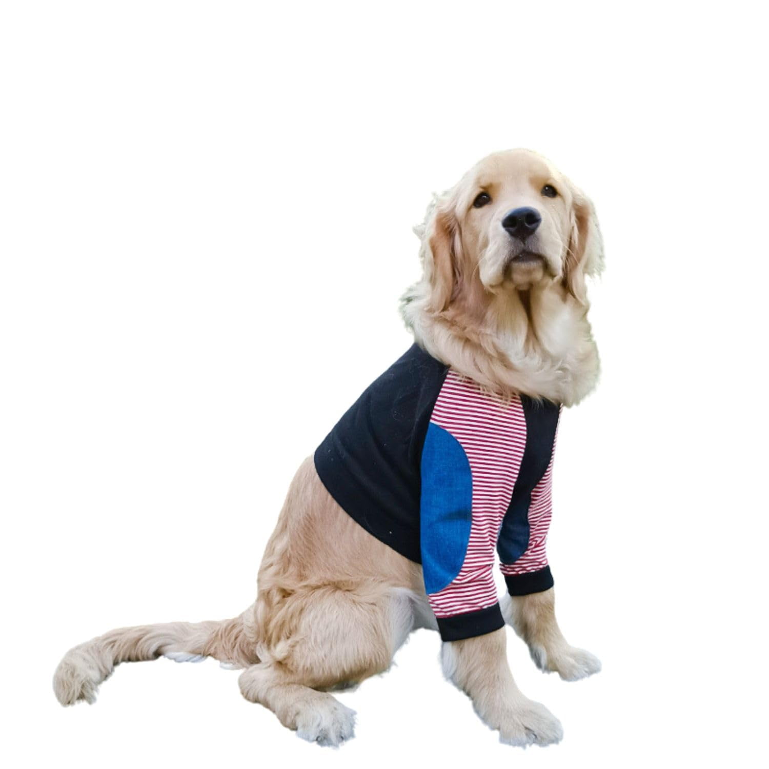 Large Dog Elbow Protector Shirt, Dog Leg Recovery Suit for Prevent ...