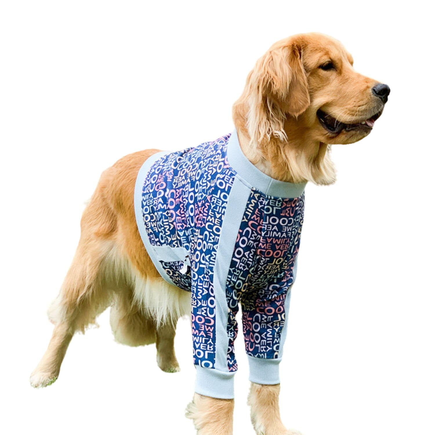 BT Bear Large Dog Elbow Protector Shirt, Dog Recovery Suit for Prevent ...