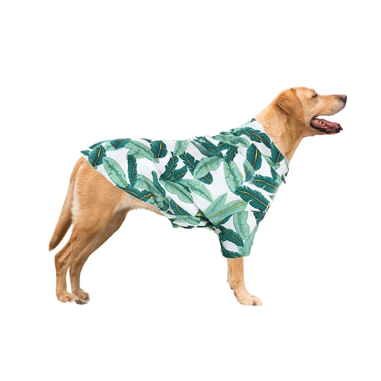 Large Dog Hawaiian Costume, Dog's Cool T-Shirts Summer Clothes ...