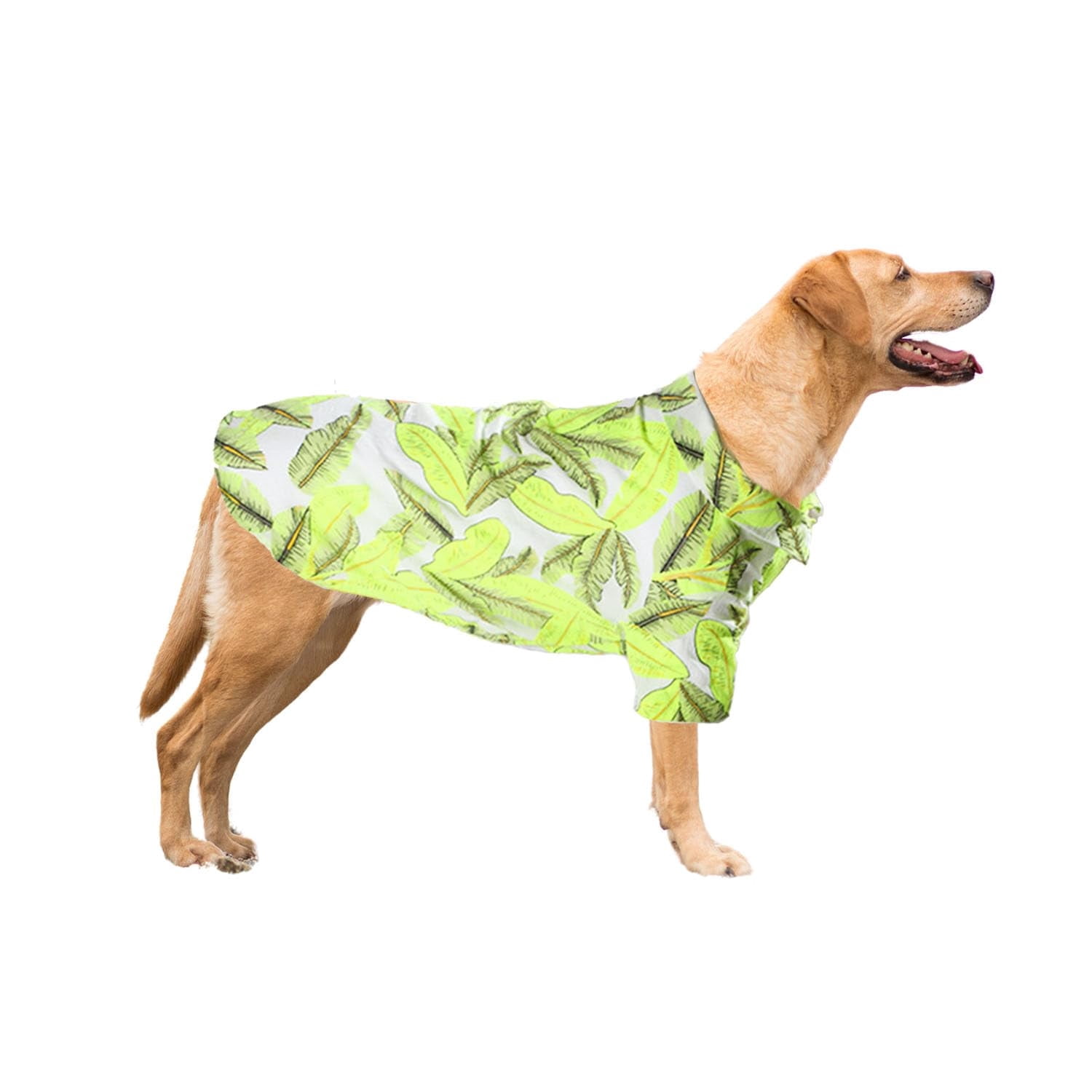 Large Dog Hawaiian Costume, Dog's Cool T-Shirts Summer Clothes ...