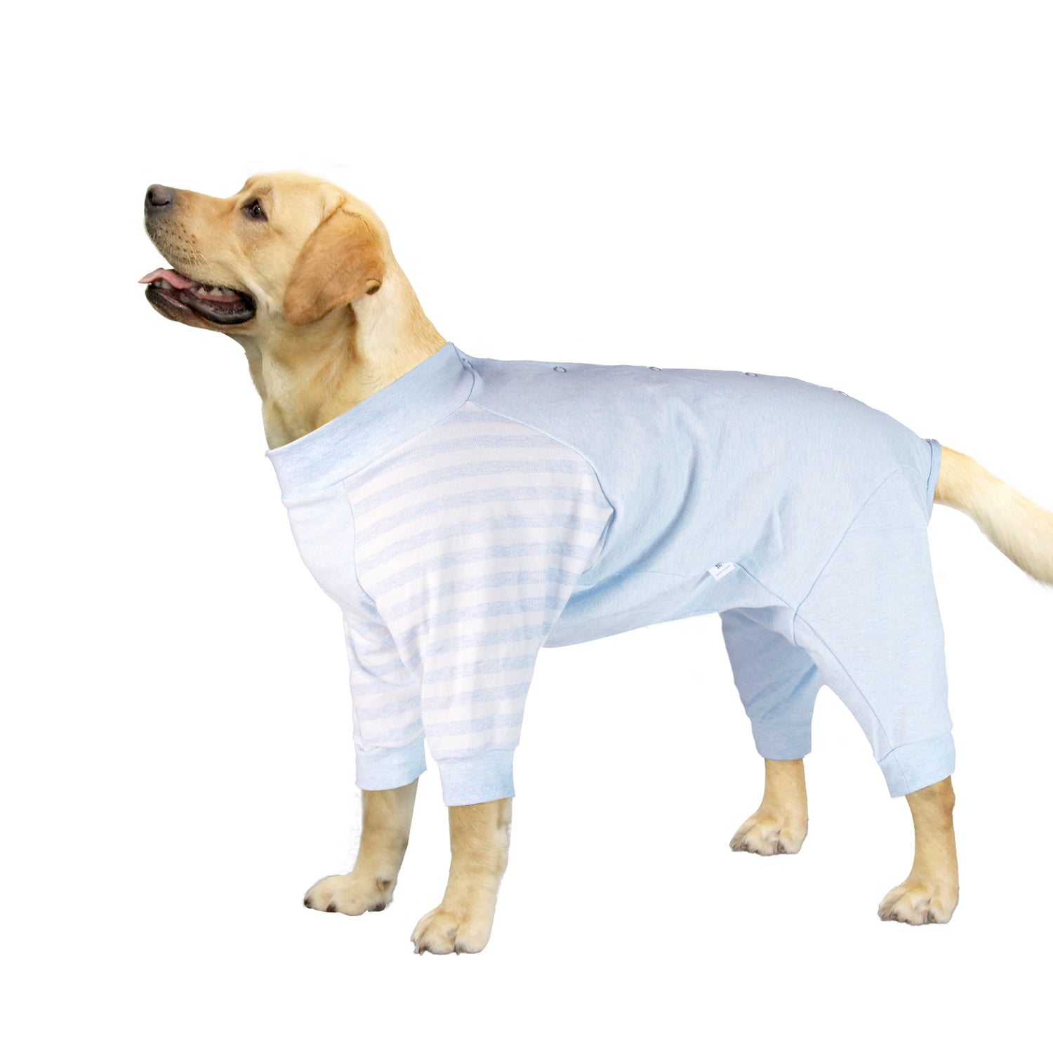 BT Bear Large Dog Shirt, Large Dog Recovery Suit, Anti-Shedding Dog ...