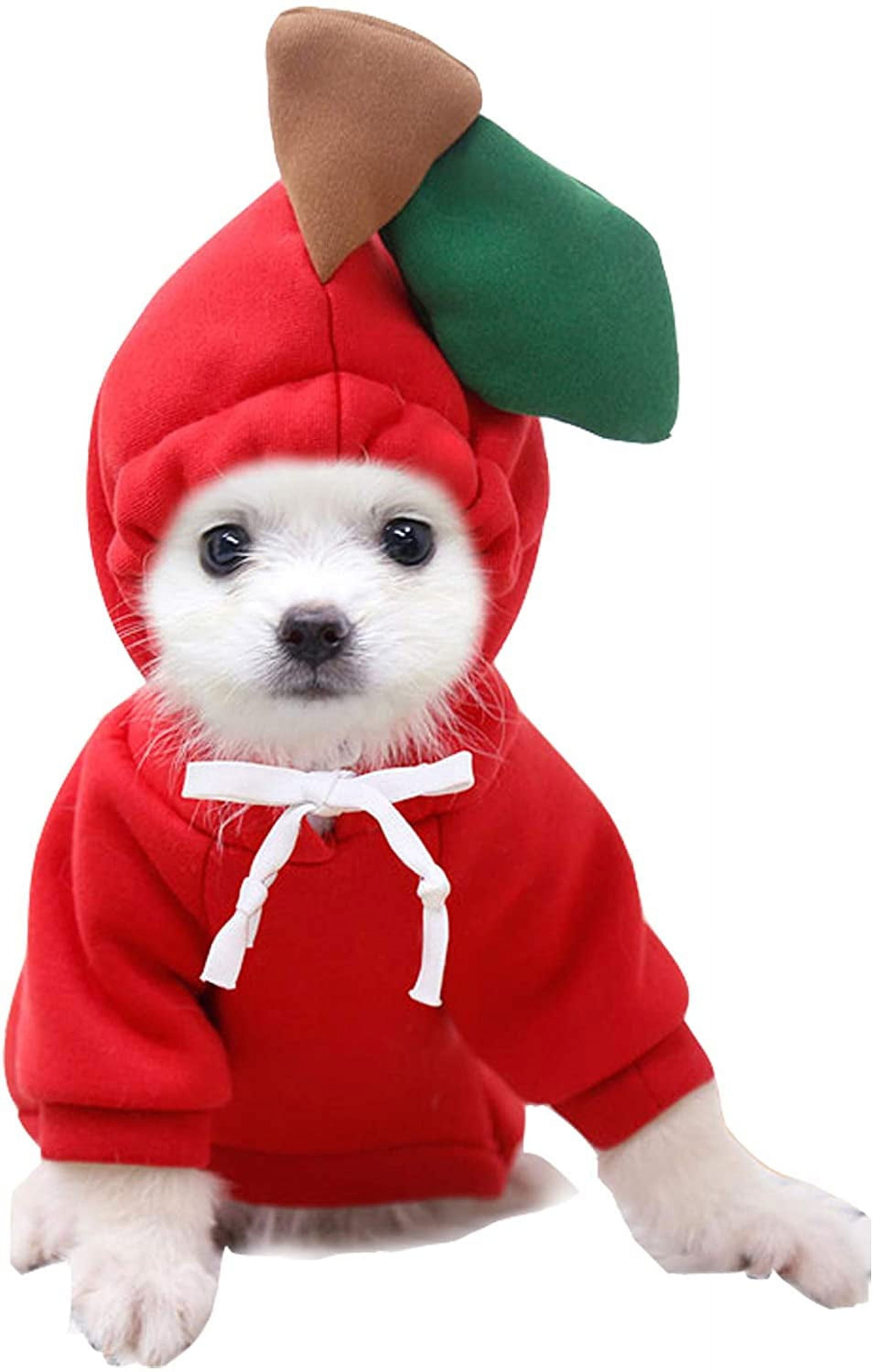 BT Bear Pet Clothes, Dogs Hooded Sweatshirt Fruit Warm Coat Sweater ...