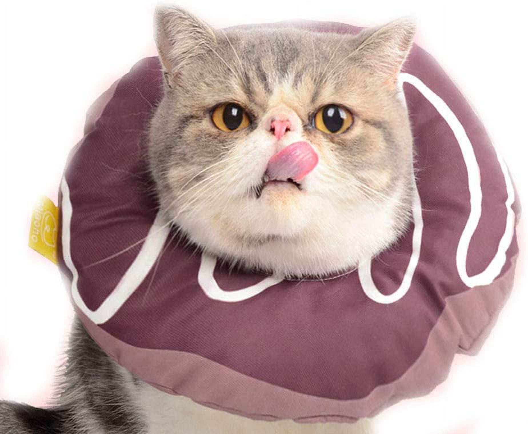 Pet Collar, Elizabeth Cat Recovery Cone Collar After Surgery Waterproof ...