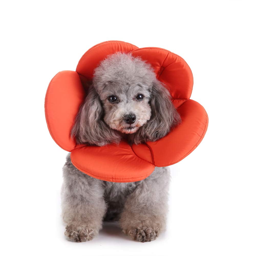 Pet Collar, Elizabethan Dog Waterproof Comfy Collar Flower Pattern ...