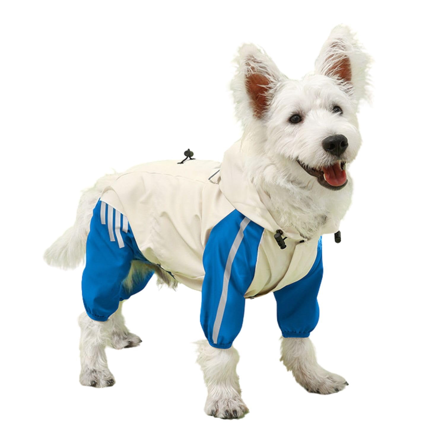 Small Dog Raincoat, Waterproof Dog Rain Jacket with Hood, Lightweight ...