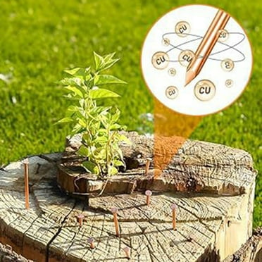 25/20/15Pcs 4Inch Copper Nails For Killing Trees Stump Root Stump ...
